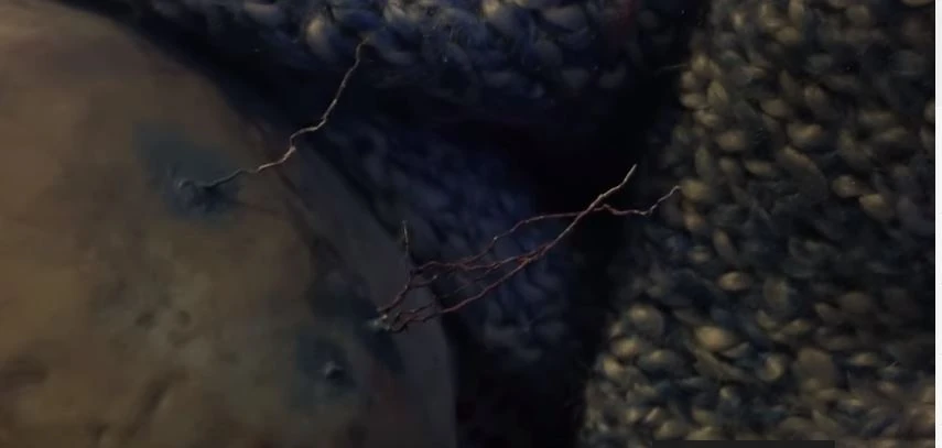 Alan is growing! | Daisy Brown Wiki | FANDOM powered by Wikia