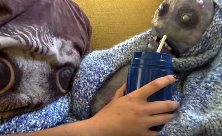 Monster tries different Sugar sources for the First Time!! | Daisy ...