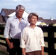 Miss Ellie Ewing | Dallas | Fandom