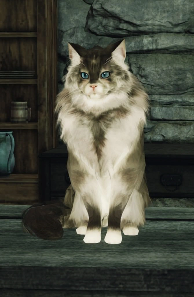 Dulce Shalquoir | Wiki Dark Souls | FANDOM powered by Wikia