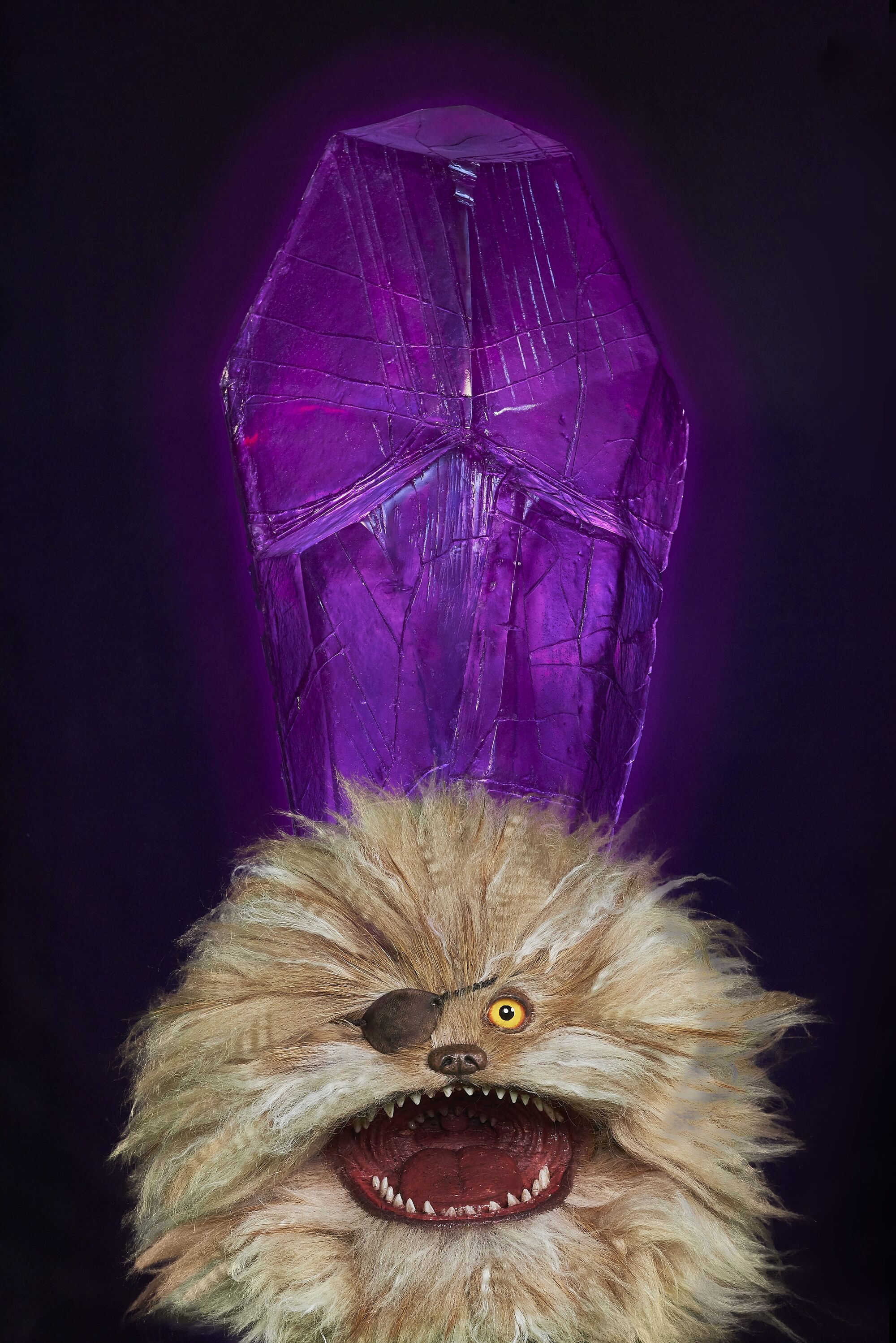Baffi The Dark Crystal Wiki Fandom