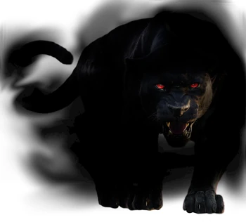 Shadow Cats | Dark Series Wiki | Fandom