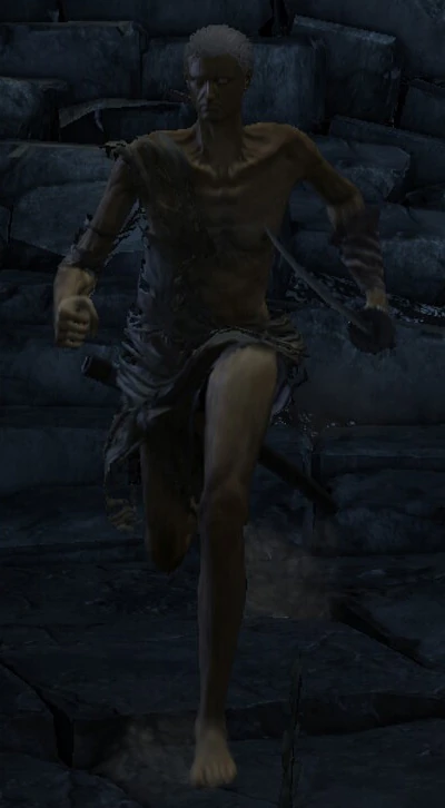 Sword Master | Dark Souls Wiki | Fandom