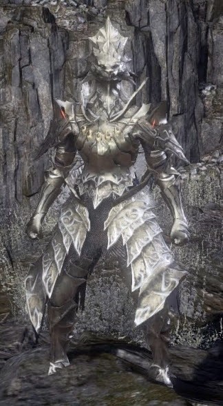 Dragonslayer Set Dark Souls Wiki Fandom Powered By Wikia