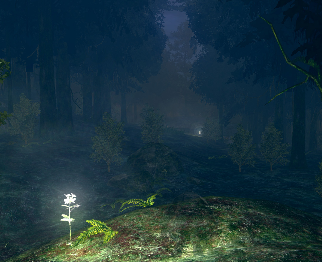 Darkroot Garden | Dark Souls Wiki | Fandom