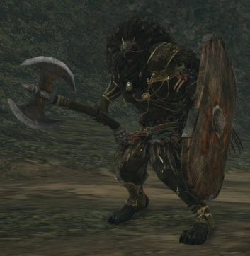 Lion Clan Warrior | Dark Souls Wiki | Fandom