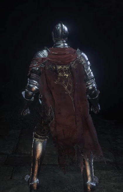 Изображение - Lothric Knight Armor Set - back.jpg | Dark Souls вики ...