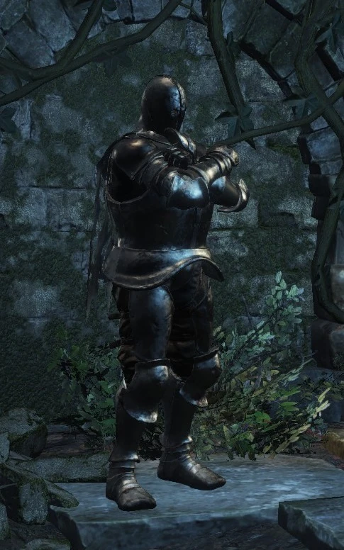 Horace the Hushed | Dark Souls Wiki | Fandom