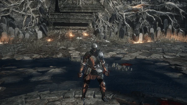 Perseverance (skill) | Dark Souls Wiki | Fandom