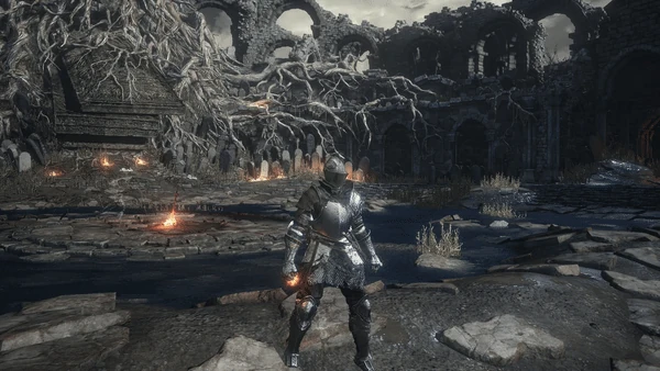 Combustion (skill) | Dark Souls Wiki | Fandom