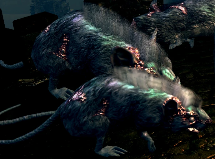 Image - Undead rats.jpg | Dark Souls Wiki | FANDOM powered by Wikia