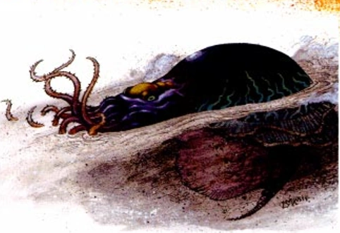 Black Silt Horror | Dark Sun Wiki | Fandom