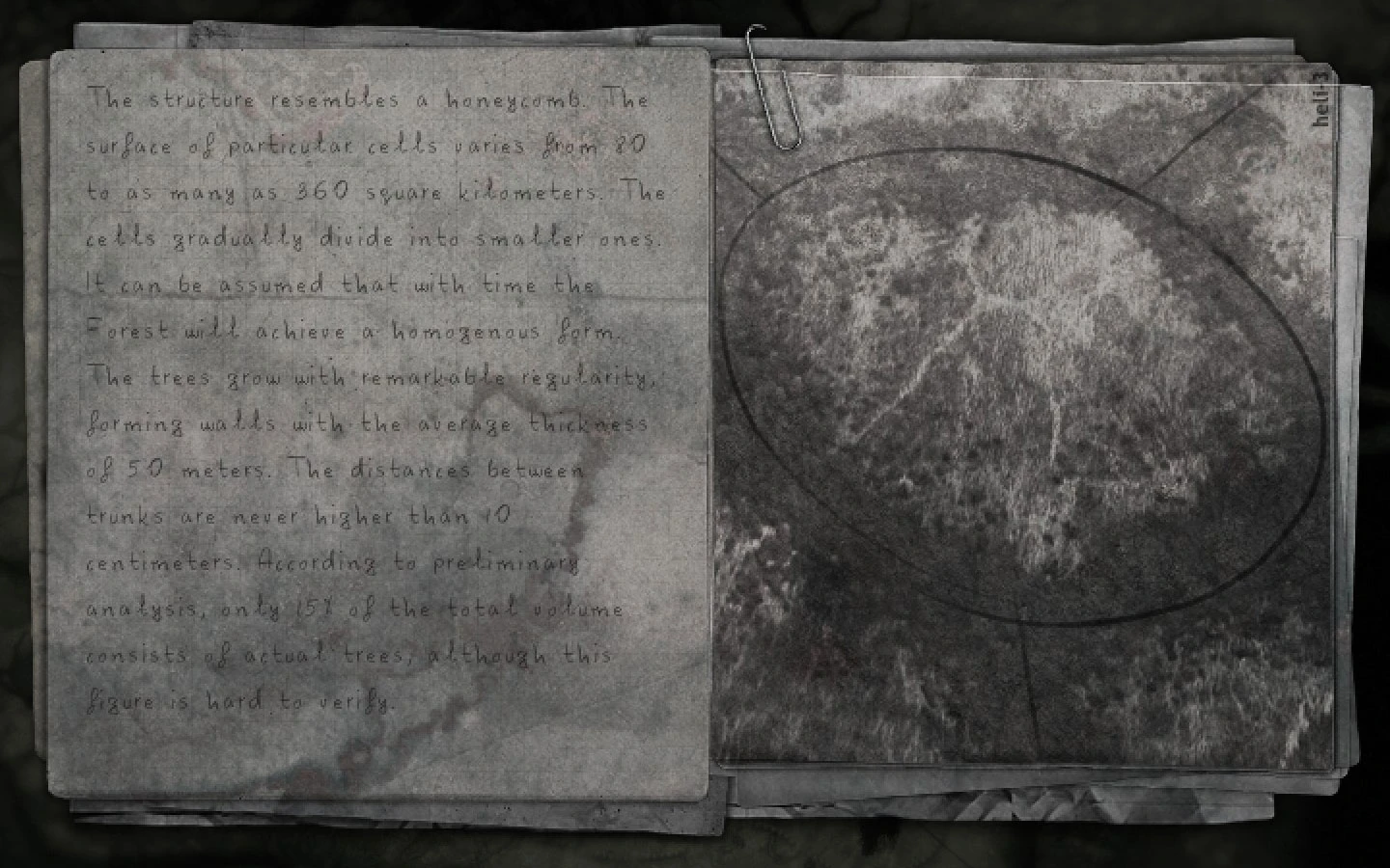 Note about Walls of Trees | Darkwood Wiki | Fandom