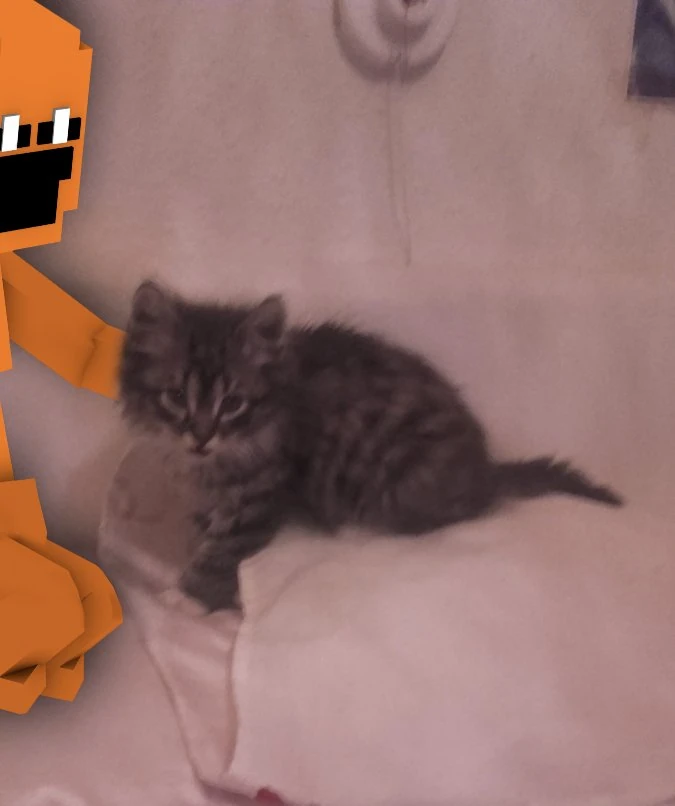 Dayshift at Freddy's: AR | Dayshift at Freddy's Wikia | Fandom