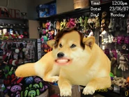 Doggo | Dayshift at Freddy's Wikia | Fandom