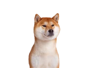 Doggo | Dayshift at Freddy's Wikia | Fandom