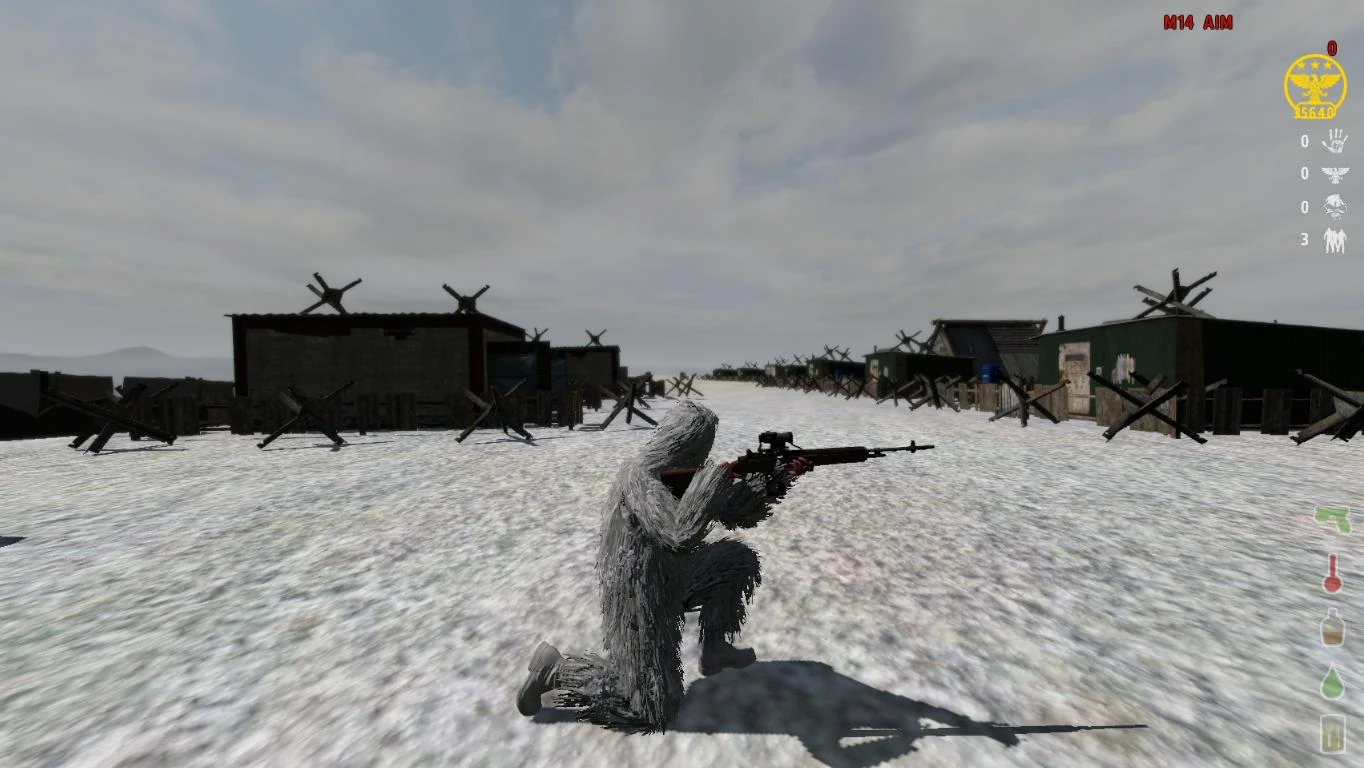 M14 AIM | DayZ Origins Wiki | Fandom