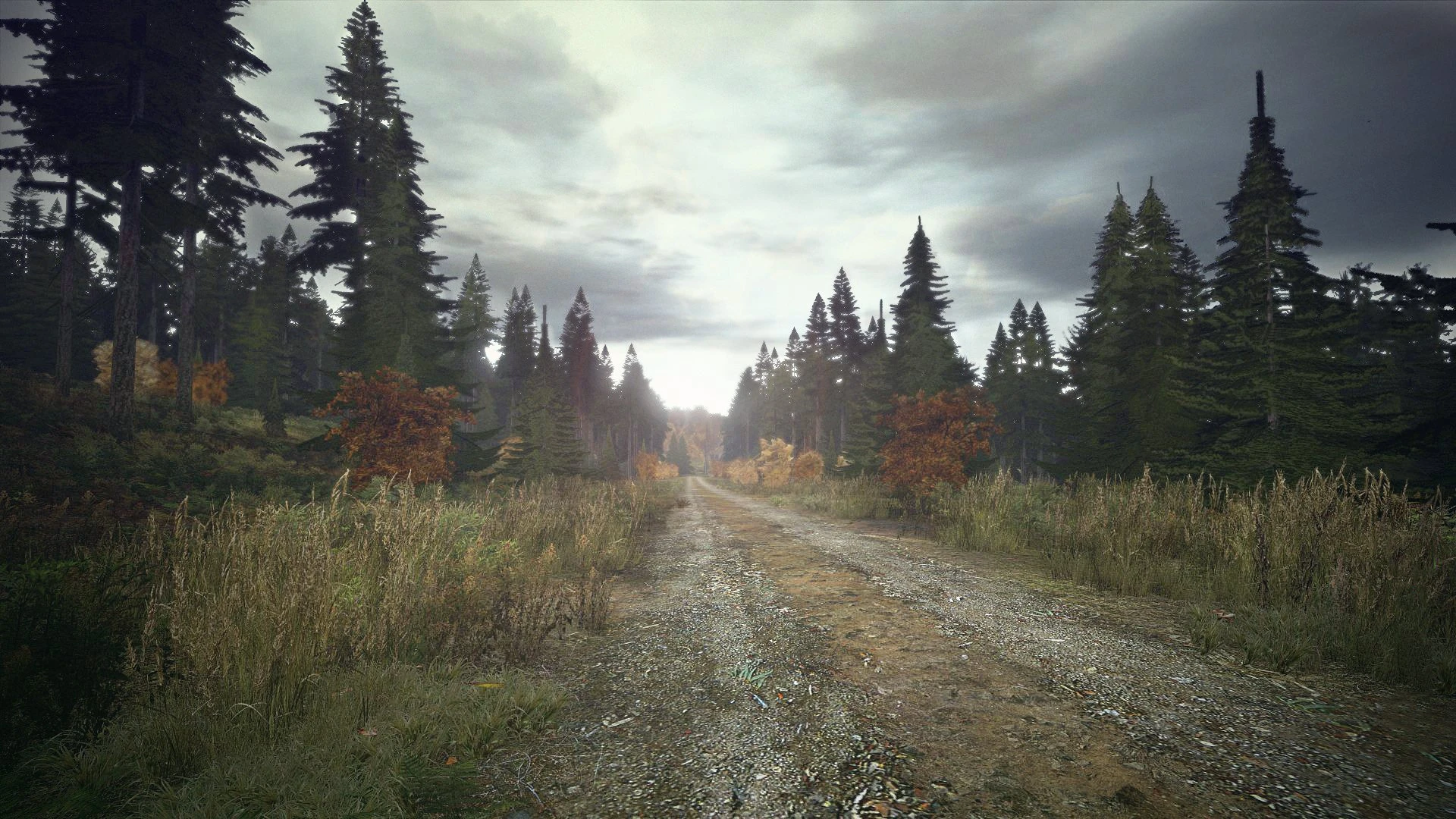 Image - DayZ-Background-3.jpg | DayZ Standalone Wiki | FANDOM powered ...