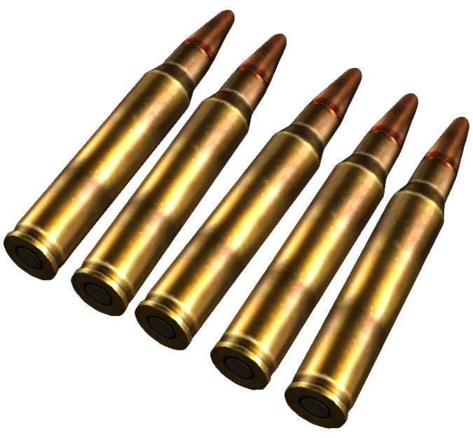 Image - 5.56mm Rounds.png | DayZ Standalone Wiki | FANDOM powered by Wikia