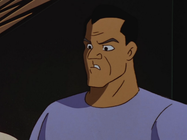 Raven | DC Animated Universe | Fandom