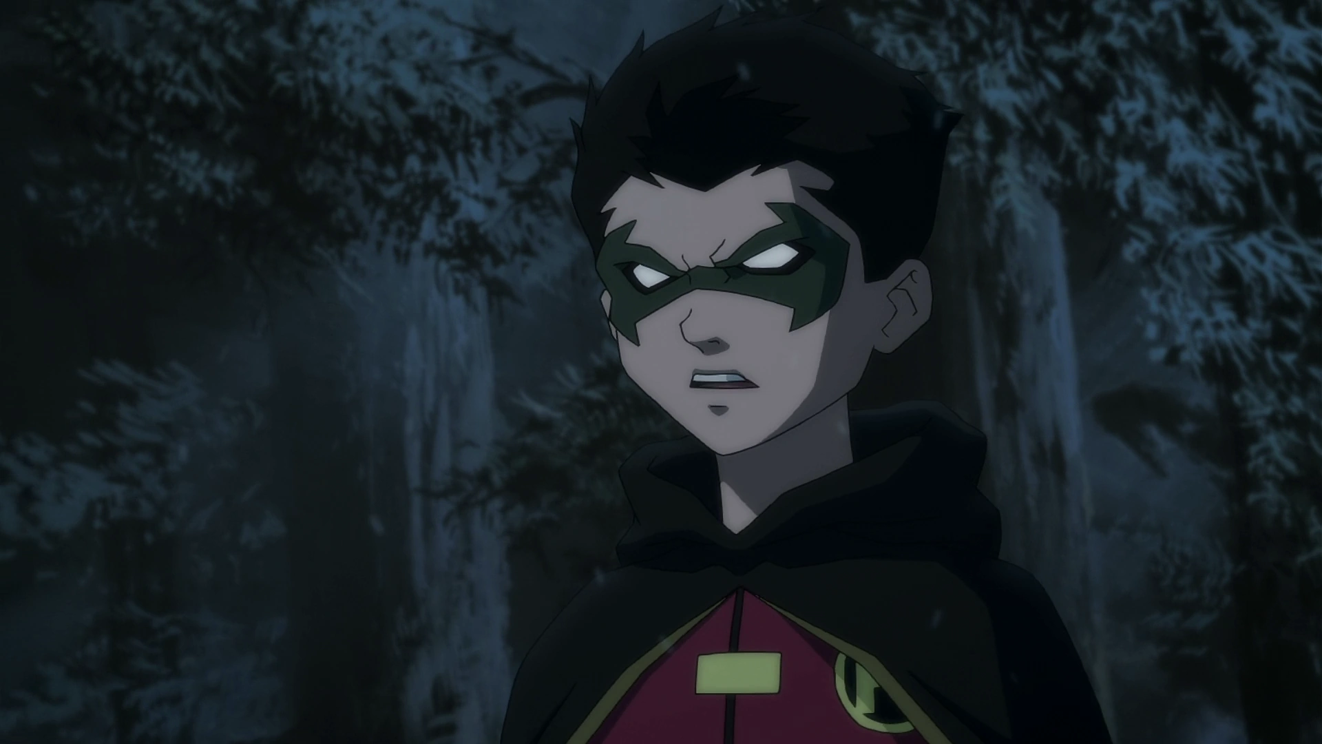Image - Robin.png | DC Animated Movie Universe Wiki | FANDOM powered by ...