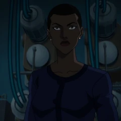 Amanda Waller (DC Animated Film Universe) | DC Movies Wiki | Fandom