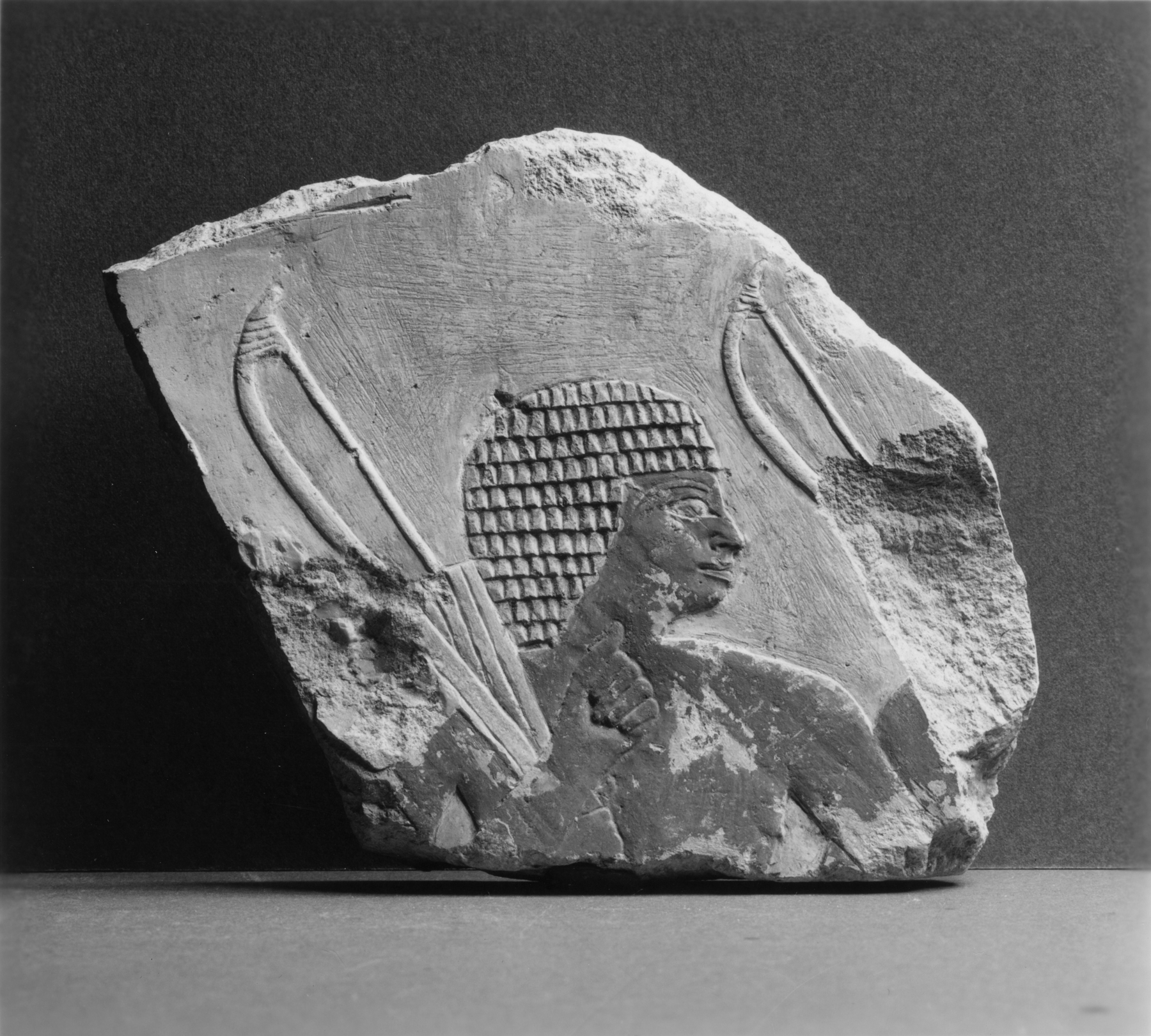 Ancient Egyptian Soldiers Deadliest Fiction Wiki Fandom Powered By