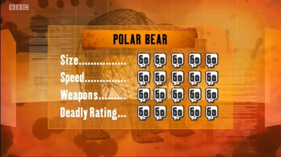 Polar Bear | Deadly 60 Wiki | Fandom