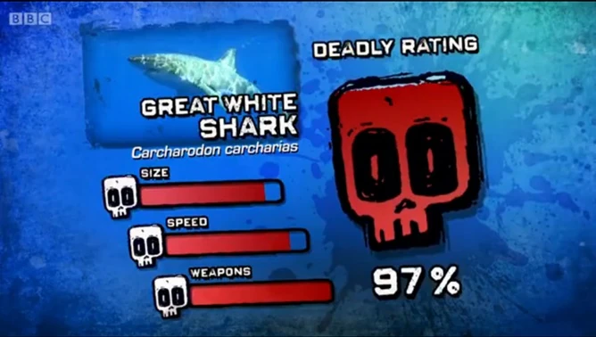 Great White Shark | Deadly 60 Wiki | FANDOM powered by Wikia