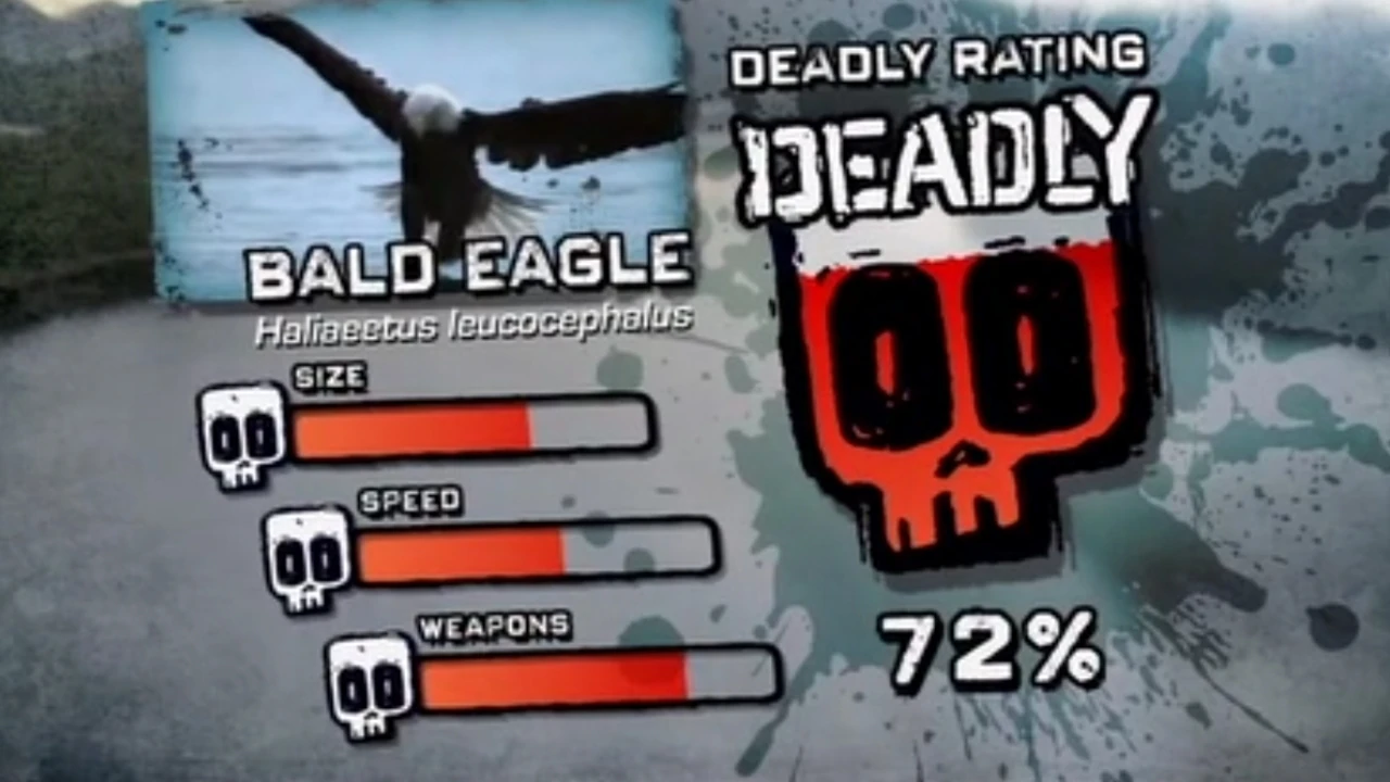 Bald Eagle | Deadly 60 Wiki | Fandom