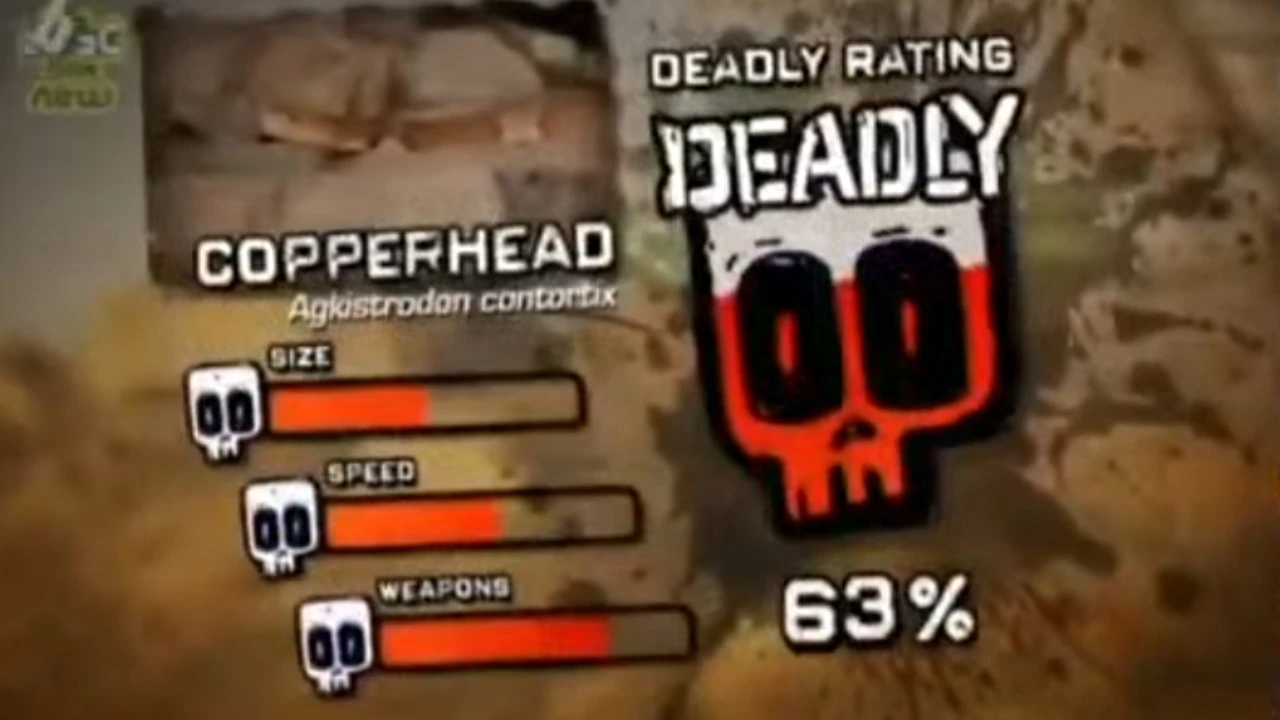 Copperhead | Deadly 60 Wiki | Fandom