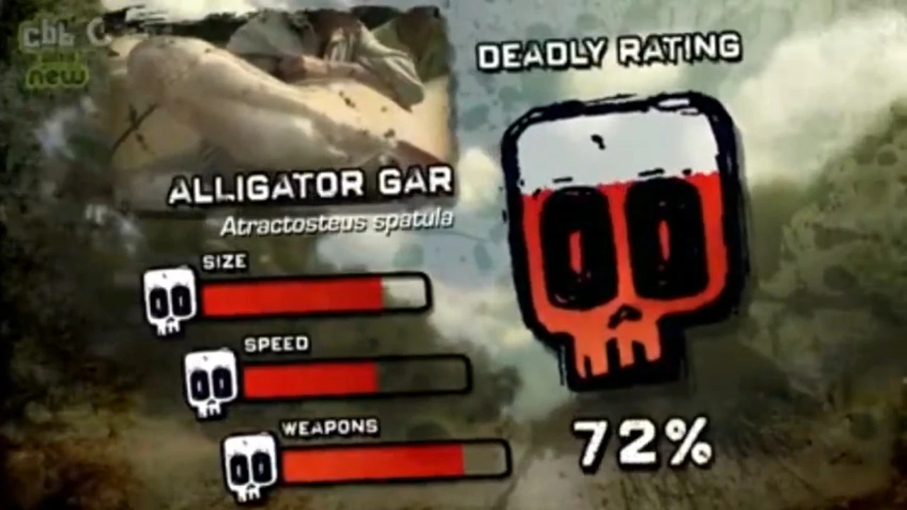 Alligator gar | Deadly 60 Wiki | Fandom