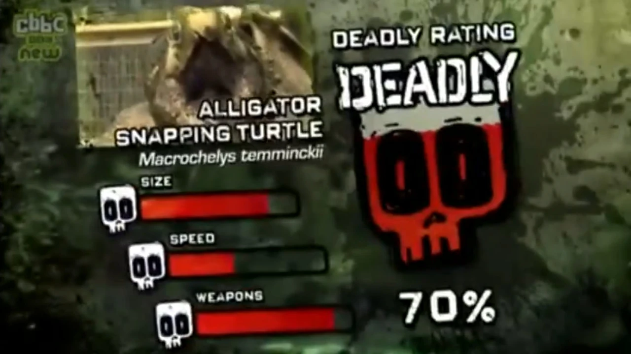 Alligator snapping turtle | Deadly 60 Wiki | Fandom
