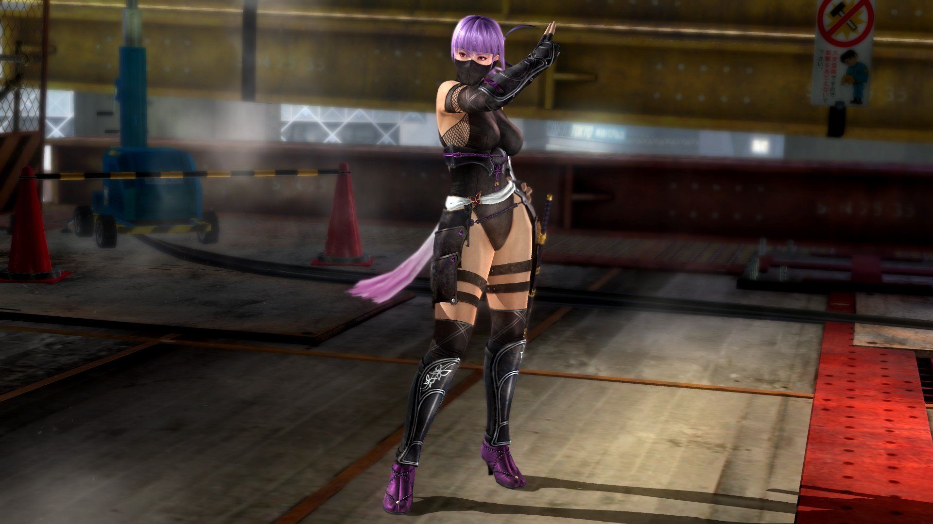 Image Doa5lr Ayane Ninja 2015 Dead Or Alive Wiki Fandom Powered By Wikia