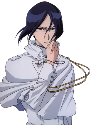 Uryū Ishida | Dead or Alive Fanon Wiki | Fandom