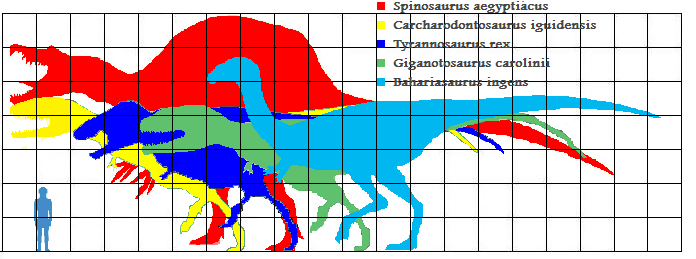 Bahariasaurus | Prehistoric Wiki | FANDOM powered by Wikia