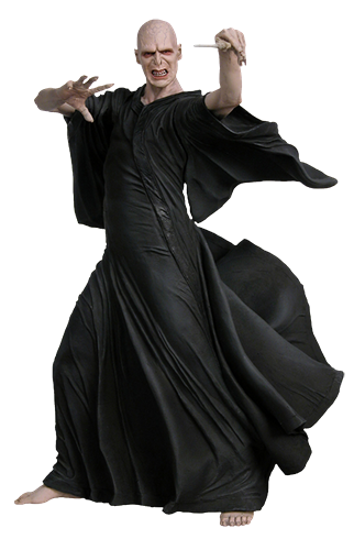 Harry Potter Voldemort Full Body