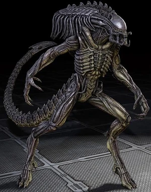 Predalien | Death Battle Fanon Wiki | FANDOM powered by Wikia