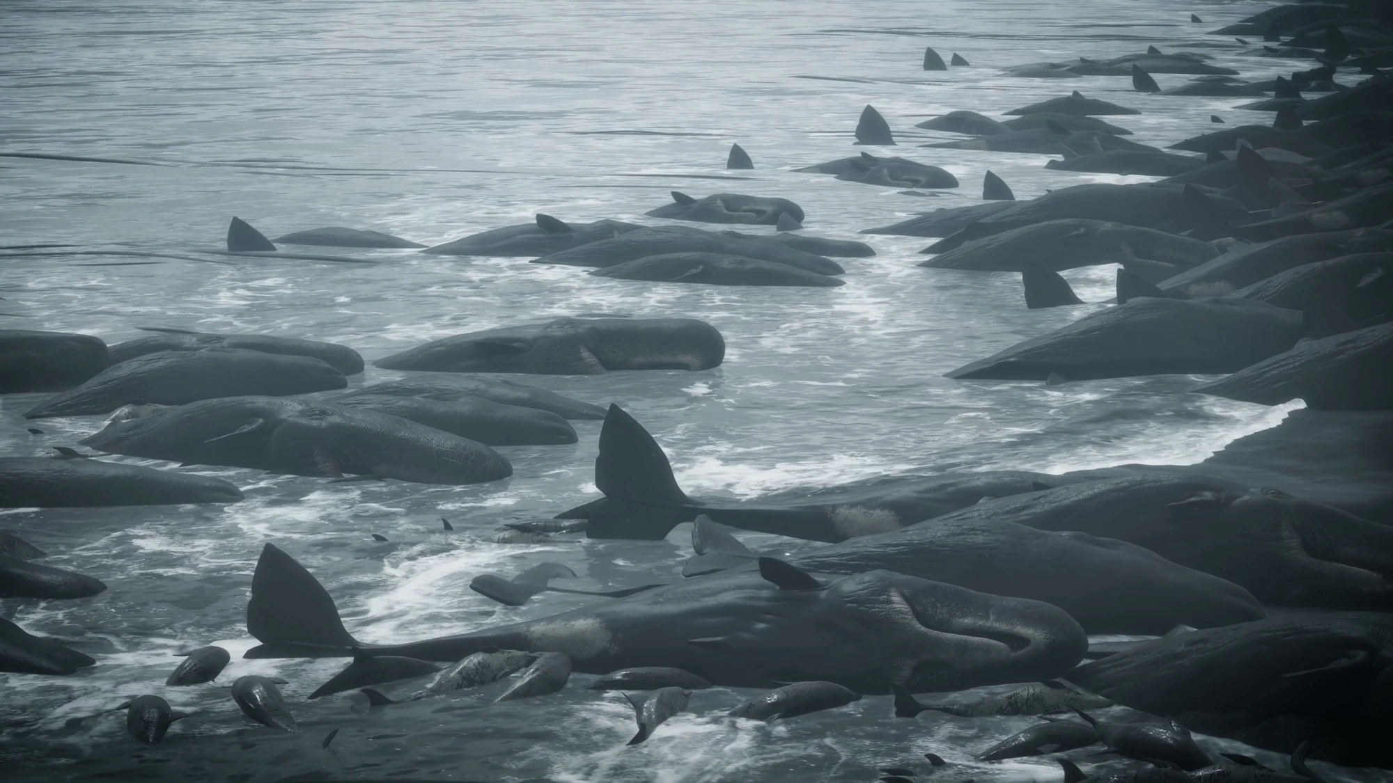 The Beach | Death Stranding Wiki | Fandom