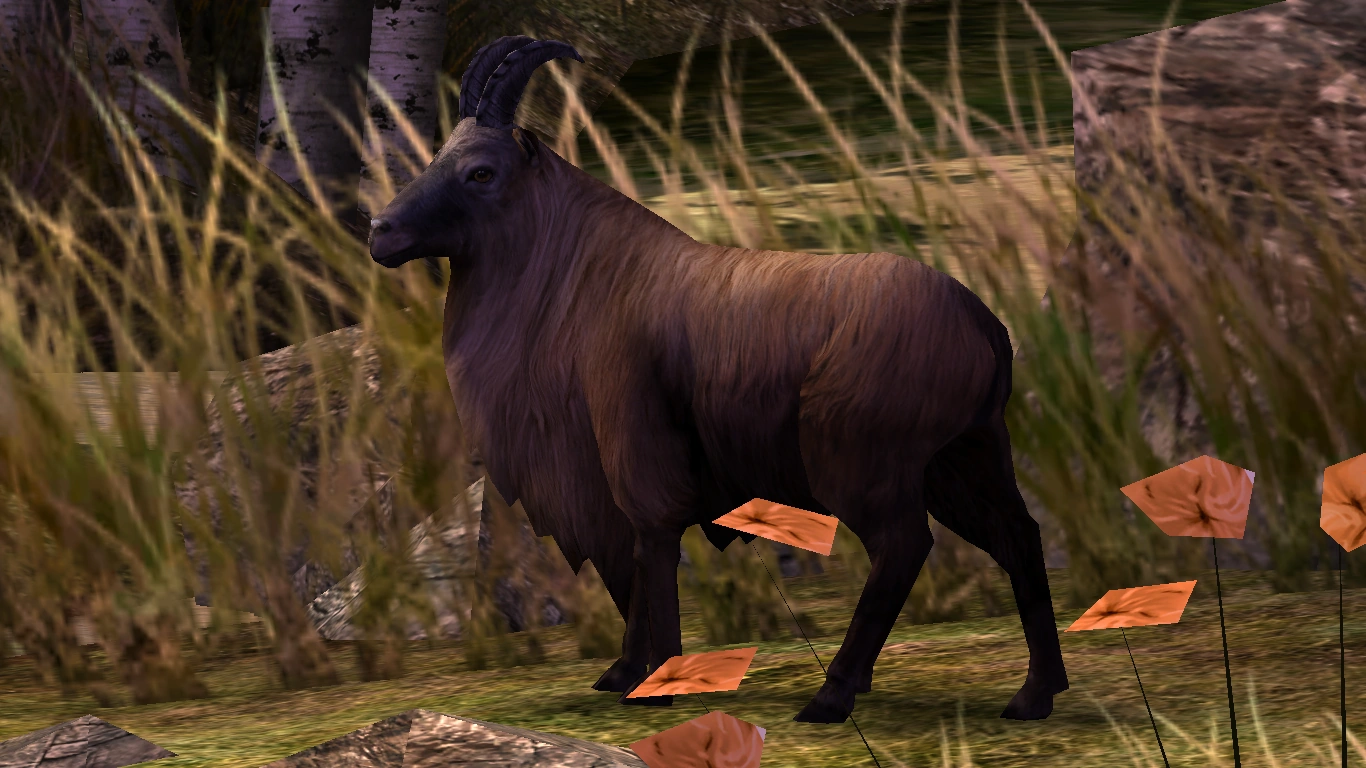 Tar del Himalaya | Deer Hunter Wikia | Fandom