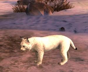 Lince blanco | Deer Hunter Wikia | Fandom