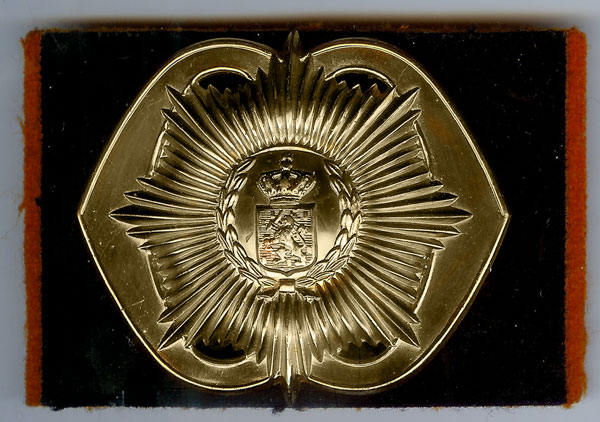 Regiment Van Heutsz Defensieweb Wiki Fandom Powered By Wikia