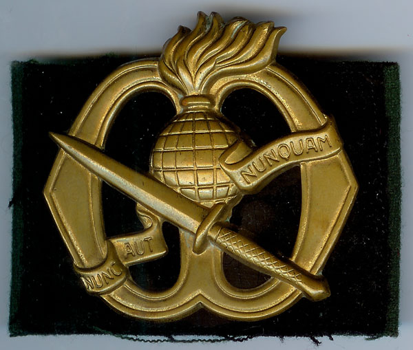 Korps Commandotroepen Defensieweb Wiki Fandom Powered By Wikia