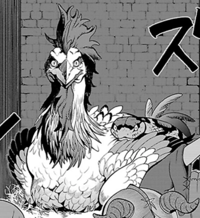 Cockatrice | Delicious in Dungeon Wiki | Fandom