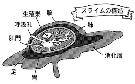 Slime | Delicious in Dungeon Wiki | Fandom