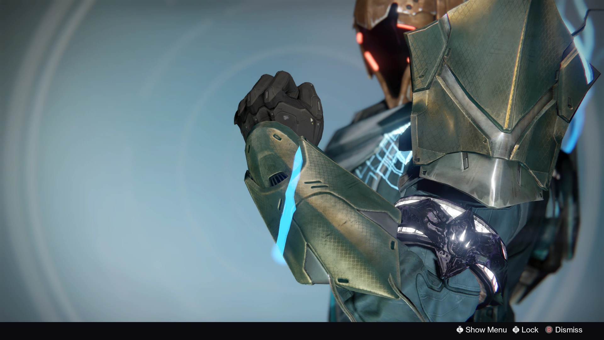 Theosyion Vibrissae | Destiny Wiki | Fandom