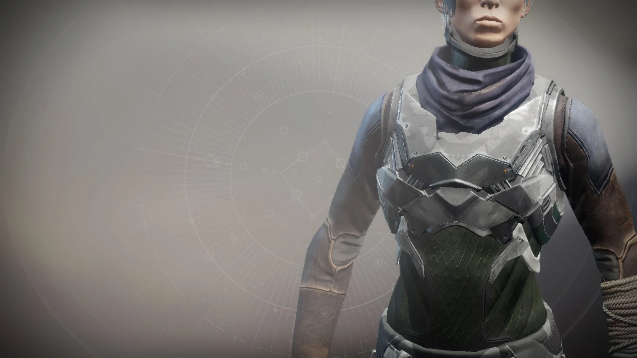Destiny 2 Road Complex Armor - seoolseoga