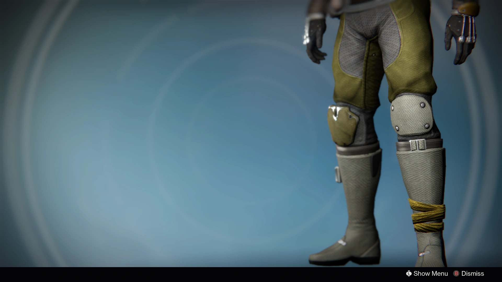 Category:Destiny Basic Hunter Leg Armor | Destiny Wiki | Fandom