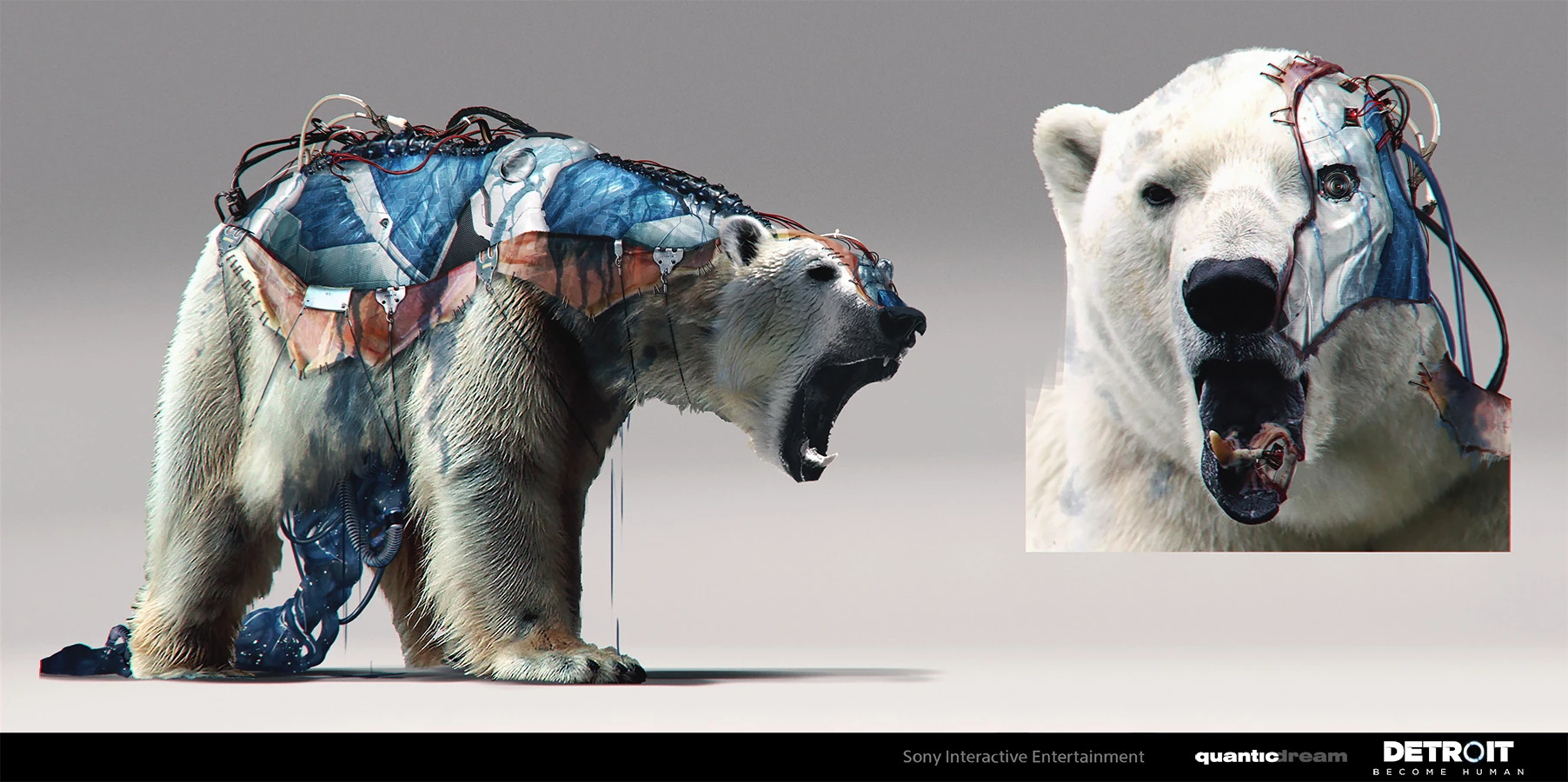 Image - URS12 Android Polar bear Artwork.jpg | Detroit: Become Human ...