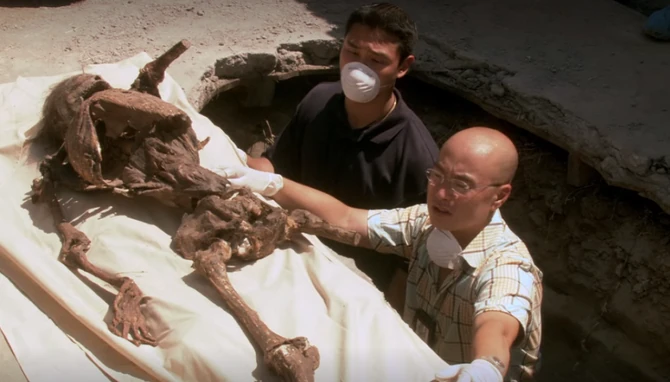 Roberta Perry | Dexter Wiki | Fandom